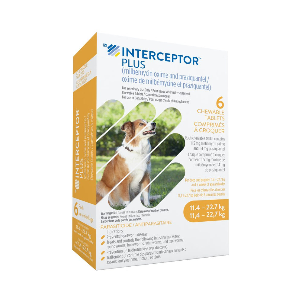 Interceptor Plus for Dogs – Prescription Heartworm Prevention & Dog ...