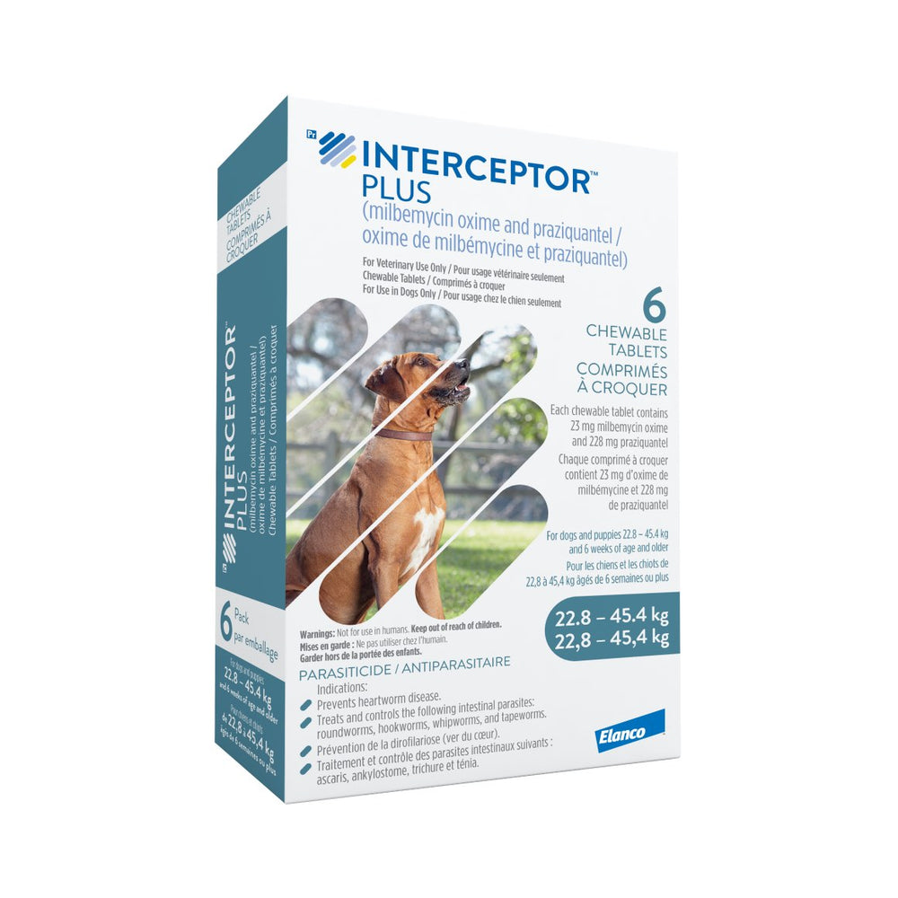Interceptor Plus for Dogs – Prescription Heartworm Prevention & Dog ...