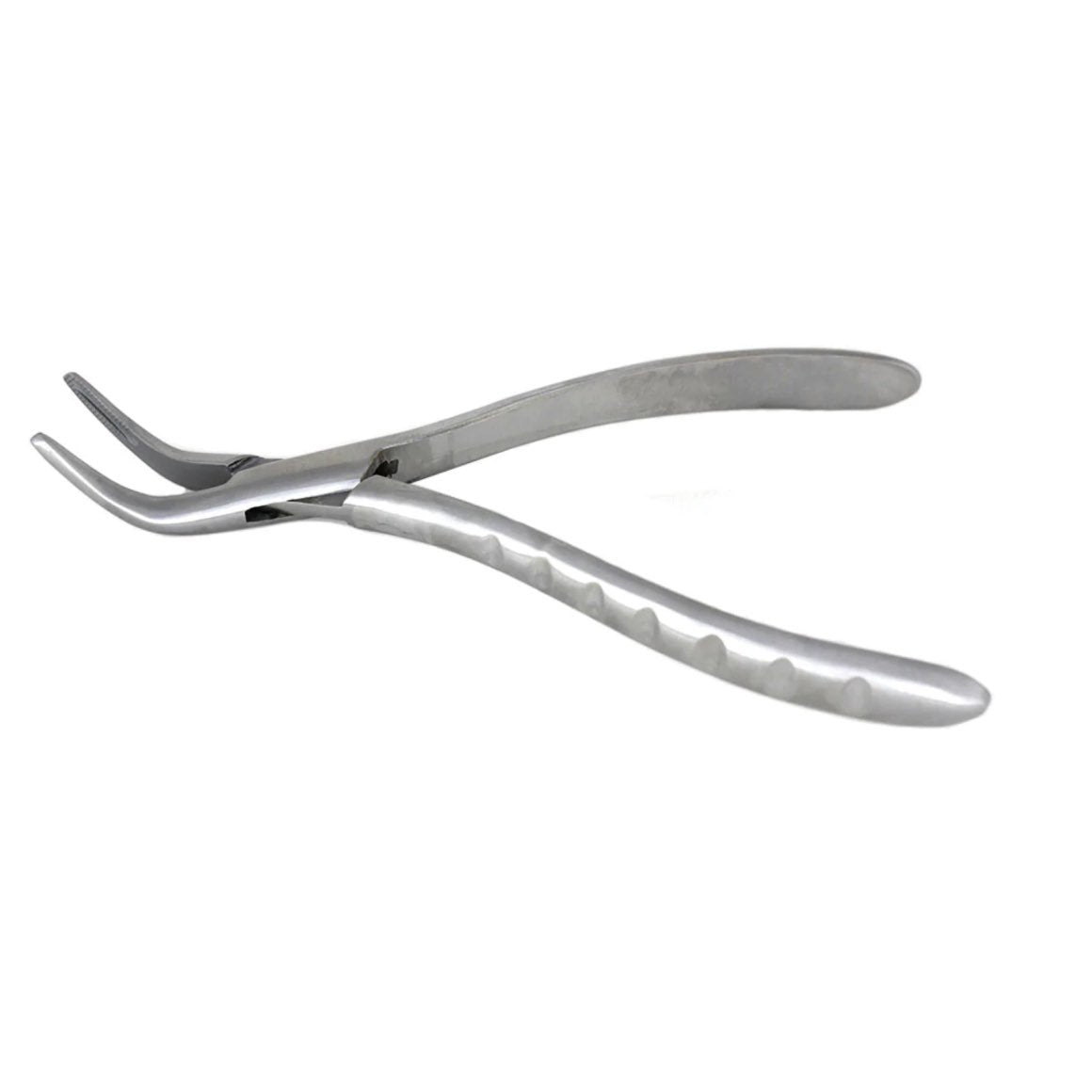 Extraction forceps # 300 long handle – PetMeds Direct