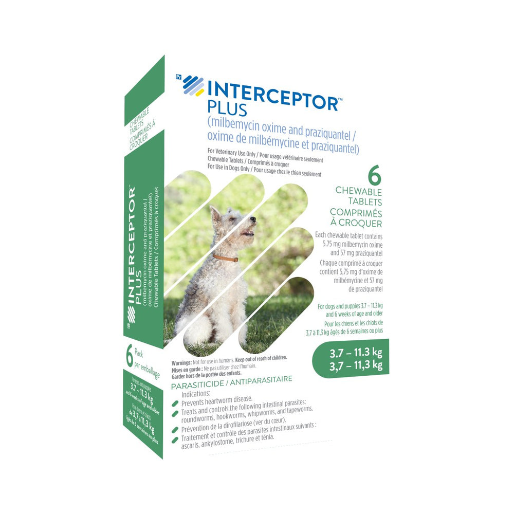 Interceptor Plus for Dogs – Prescription Heartworm Prevention & Dog ...